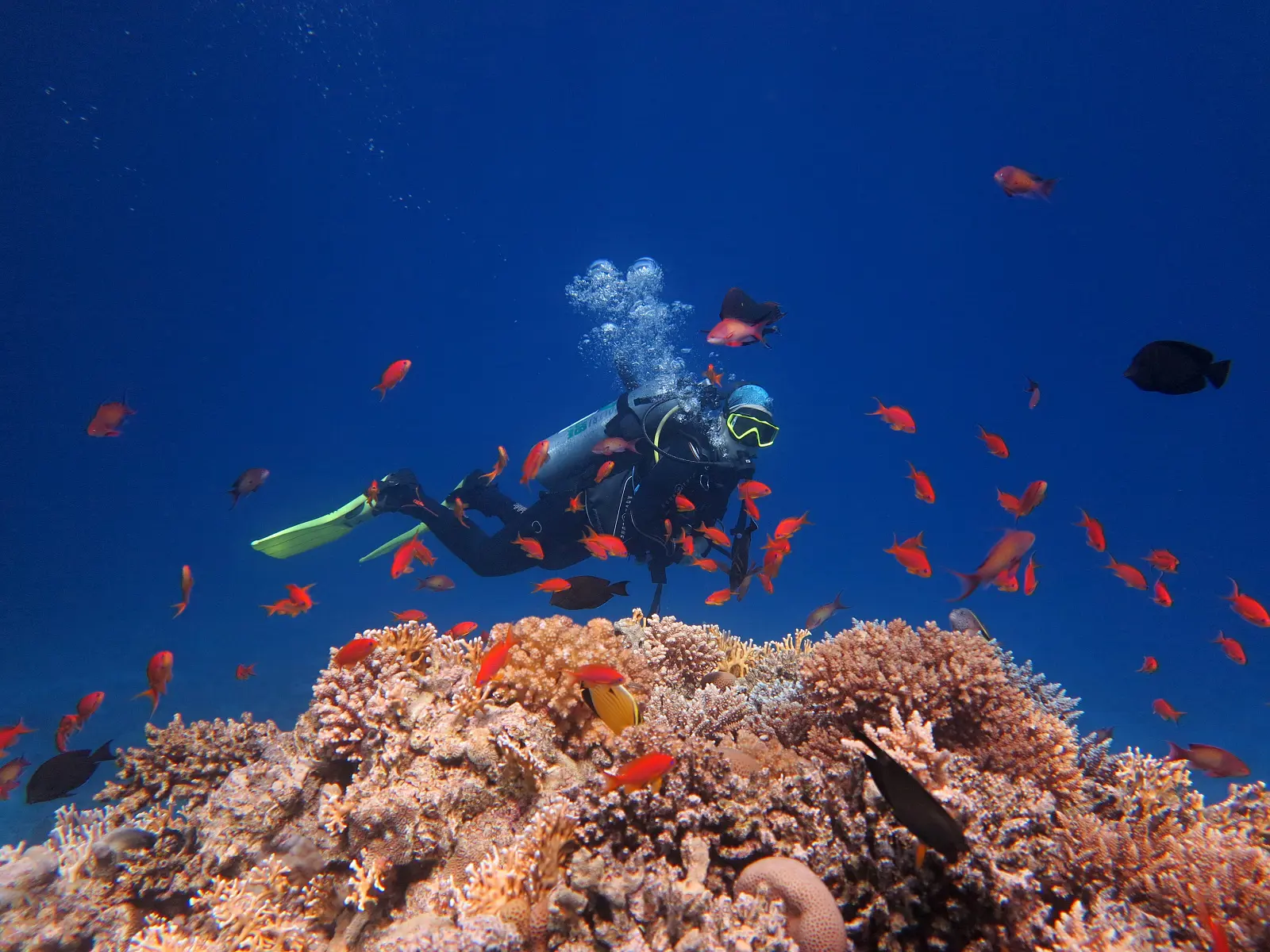 Buddy check of divers and buoyancy control | Egypt Dive