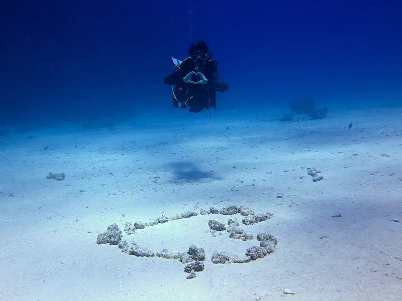 Assembling and checking scuba diving equipment | Egypt Dive