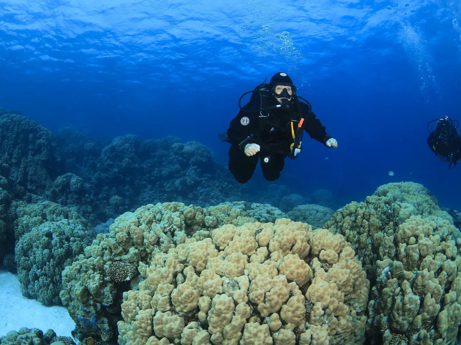 Najlepsze nurkowanie Egipt Hurghada Marsa Alam | Egypt Dive